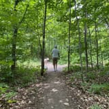 Loree Forest Loop, Ontario, Canada - 1,098 Reviews, Map | AllTrails