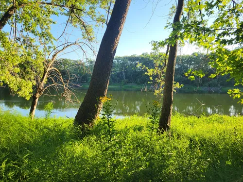 2023 Best Forest Trails in Roscoe | AllTrails