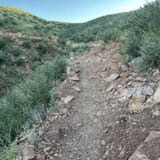 Devil's Backbone Nature Trail, Colorado - 2,032 Reviews, Map | AllTrails
