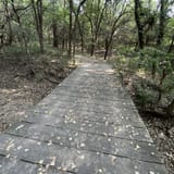 Osage Nature Trail, Kansas - 168 Reviews, Map | AllTrails
