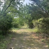 Osage Nature Trail, Kansas - 168 Reviews, Map | AllTrails