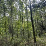 Osage Nature Trail, Kansas - 168 Reviews, Map | AllTrails