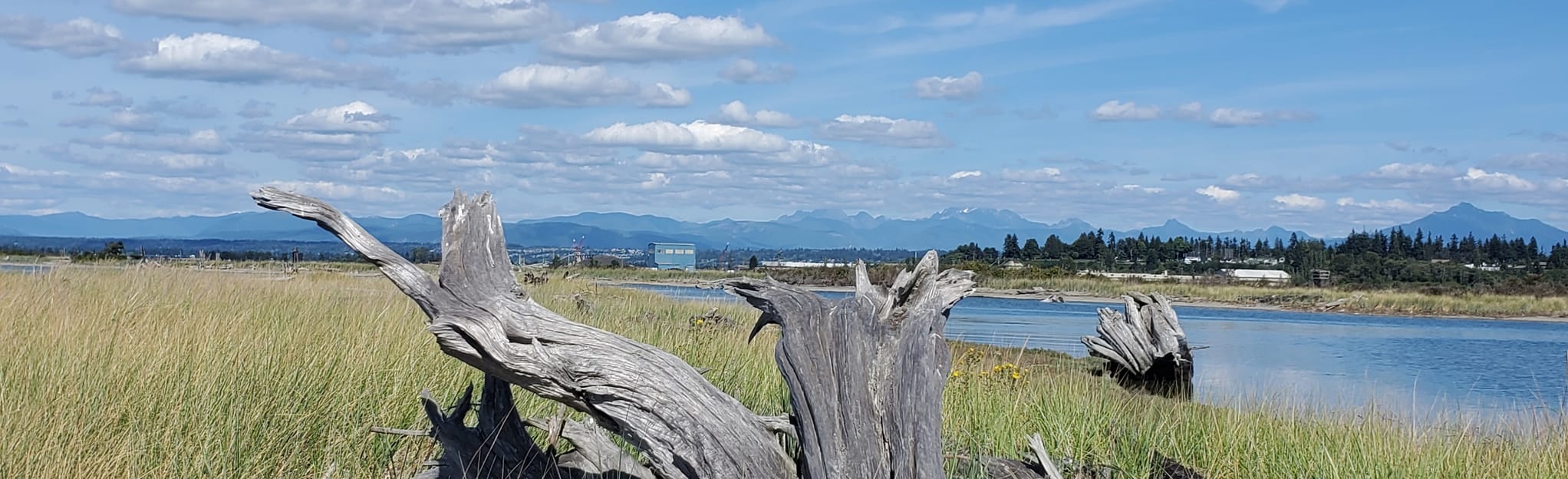 Jetty Island Trail, Washington - 35 Reviews, Map | AllTrails