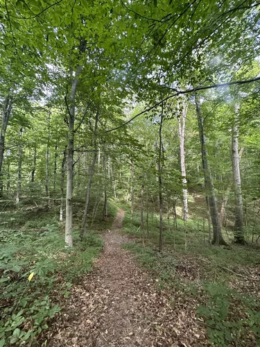 Best Hikes and Trails in Banshee Reeks Nature Preserve | AllTrails