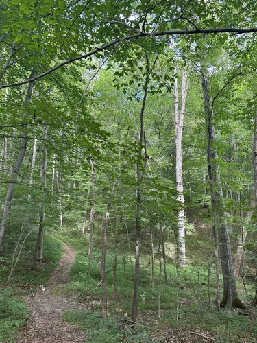 Best Hikes and Trails in Banshee Reeks Nature Preserve | AllTrails