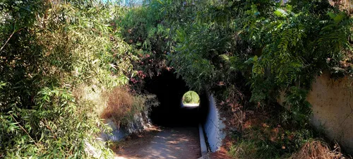 Best Hikes and Trails in Brea Dam Recreation Area | AllTrails