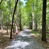 Settles Bridge Park Extended Loop Trail, Georgia - 1,572 Reviews, Map ...