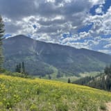 Washington Gulch Trail, Colorado - 392 Reviews, Map | AllTrails