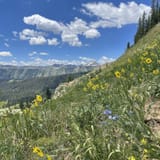 Washington Gulch Trail, Colorado - 392 Reviews, Map | AllTrails
