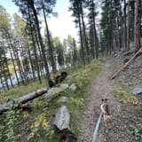 Spring Creek and Flume Trail Loop, South Dakota - 760 Reviews, Map ...