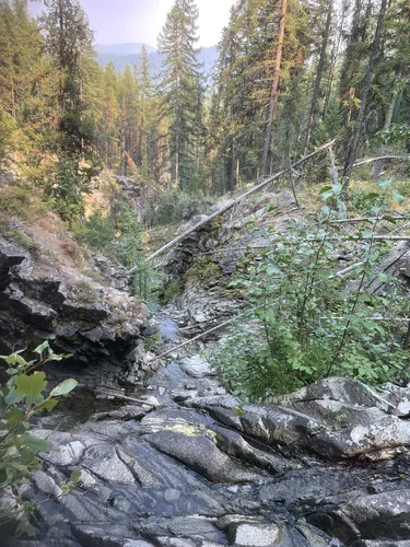 Best Hikes and Trails in Conkle Lake Provincial Park | AllTrails