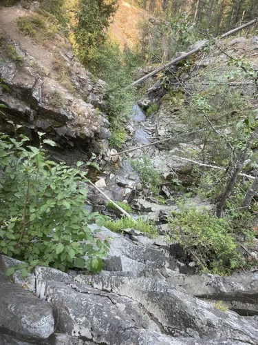 Best Hikes and Trails in Conkle Lake Provincial Park | AllTrails