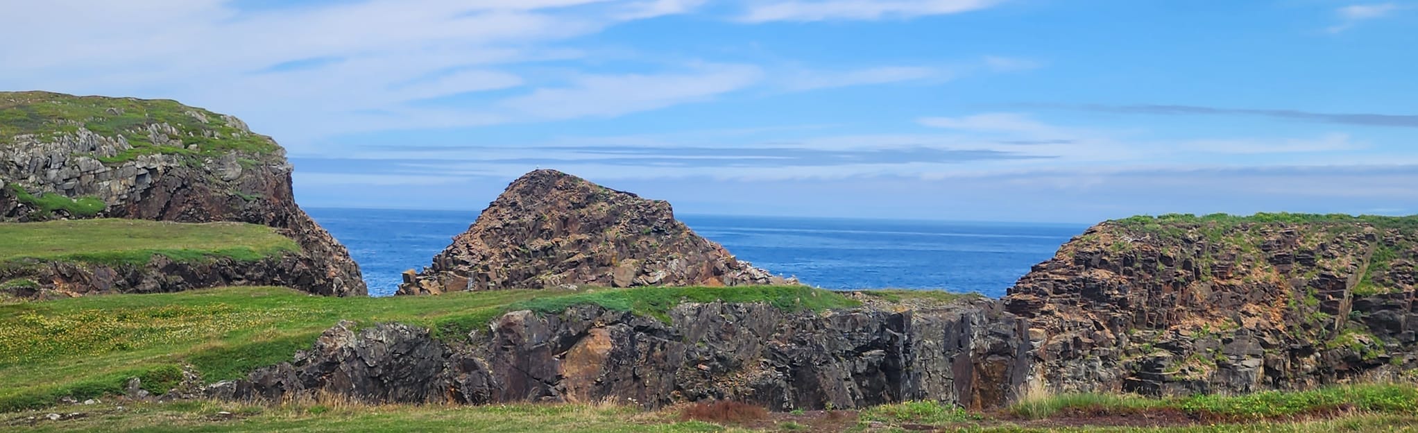 Elliston Puffin Colony, Newfoundland and Labrador, Canada - 88 Reviews ...