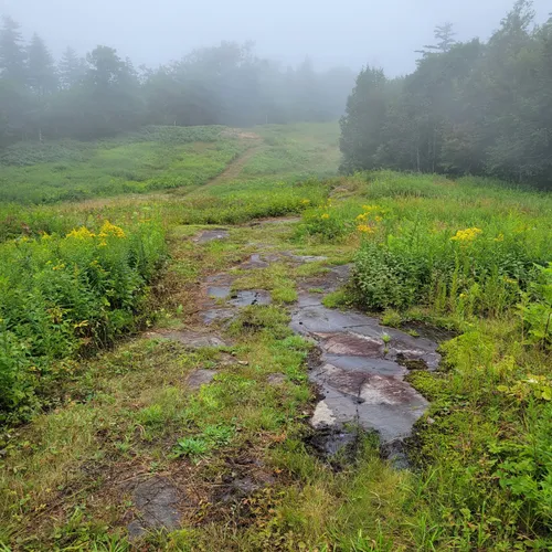 Best Hikes and Trails in Danbury | AllTrails