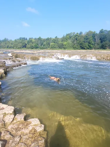 Best Hikes and Trails in Falls Reserve Conservation Area | AllTrails