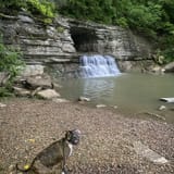 Narrows of the Harpeth Trail, Tennessee - 900 Reviews, Map | AllTrails