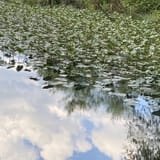 Lake Ontelaunee Trail, Pennsylvania - 185 Reviews, Map | AllTrails