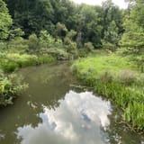 Lake Ontelaunee Trail, Pennsylvania - 185 Reviews, Map | AllTrails