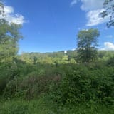 Lake Ontelaunee Trail, Pennsylvania - 185 Reviews, Map | AllTrails
