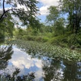 Lake Ontelaunee Trail, Pennsylvania - 185 Reviews, Map | AllTrails