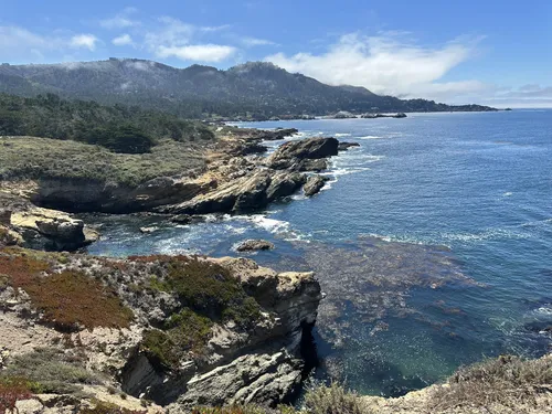10 Best Hikes and Trails in Point Lobos State Natural Reserve | AllTrails