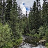 Cross Creek Trail, Colorado - 123 Reviews, Map | AllTrails