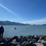 Seward Waterfront Shore Path, Alaska - 293 Reviews, Map | AllTrails