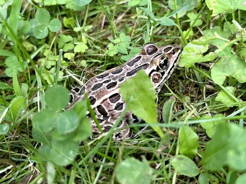 Best Hikes and Trails in Cooper Marsh Conservation Area | AllTrails