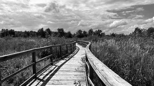 Best Hikes and Trails in Cooper Marsh Conservation Area | AllTrails