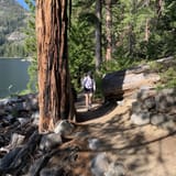 Emerald Point Trail, California - 1,255 Reviews, Map | AllTrails