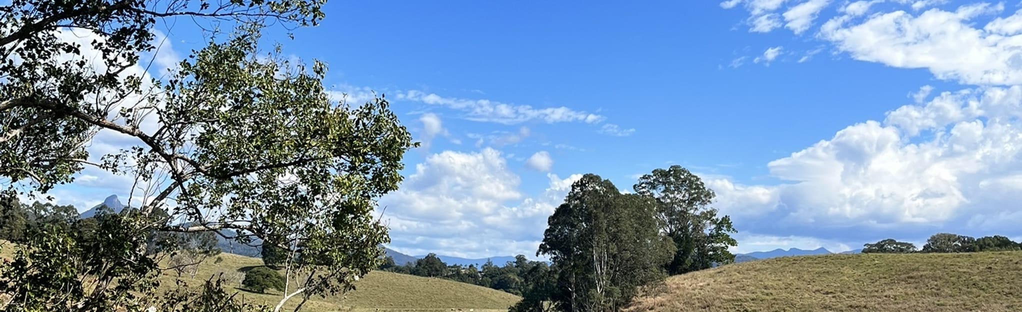 Northern Rivers Rail Trail: Tweed Section, New South Wales, Australia ...
