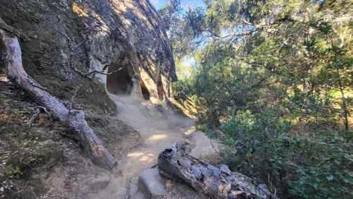 2023 Best Child Friendly Trails in Mount Diablo State Park | AllTrails