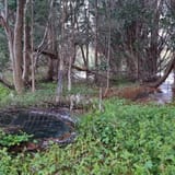 Neerabup Nature Reserve, Western Australia, Australia - 32 Reviews, Map ...