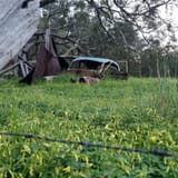 Neerabup Nature Reserve, Western Australia, Australia - 32 Reviews, Map ...