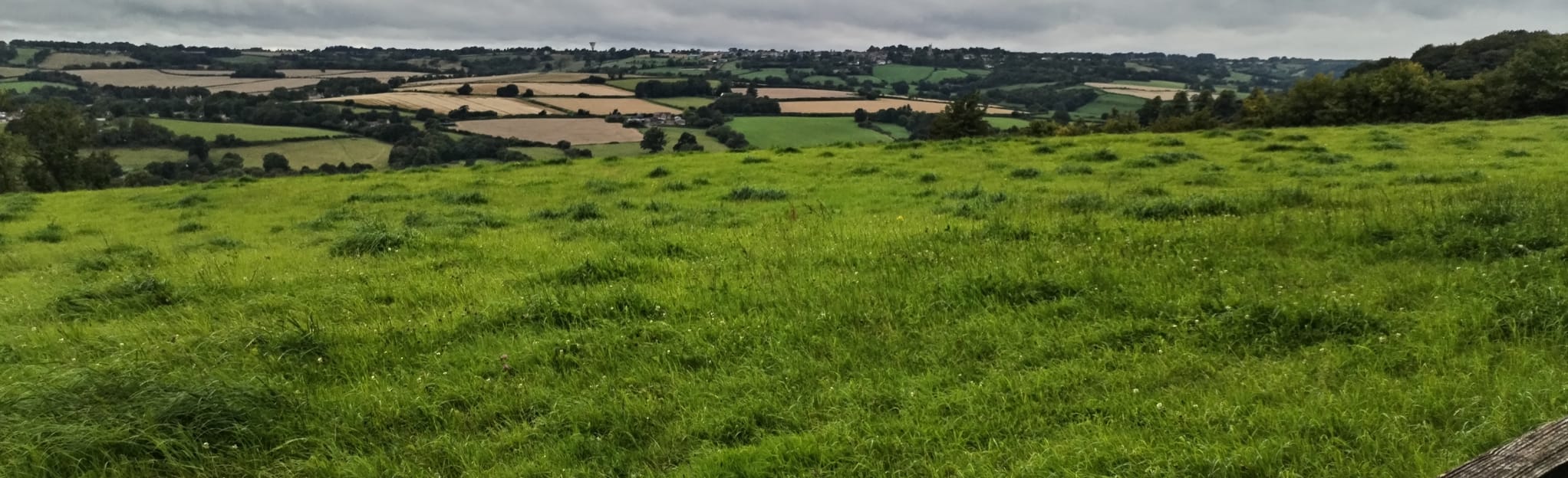 Hazelbury Manor Circular: 76 Fotos - Wiltshire, England | AllTrails