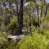 Mount Cooke Loop, Western Australia, Australia - 496 Reviews, Map ...