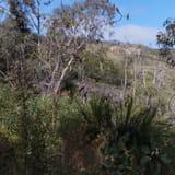 Mount Cooke Loop, Western Australia, Australia - 496 Reviews, Map ...