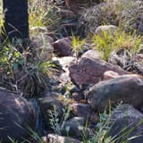 Mount Cooke Loop, Western Australia, Australia - 496 Reviews, Map ...