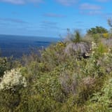 Mount Cooke Loop, Western Australia, Australia - 496 Reviews, Map ...