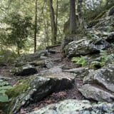 Gunpowder Falls North and South Loop Trail, Maryland - 260 Reviews, Map ...