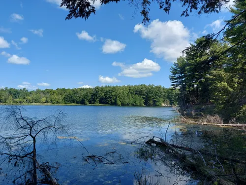 10 Best Hikes and Trails in Charleston Lake Provincial Park | AllTrails