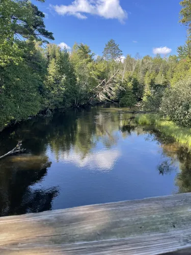 10 Best Trails and Hikes in Grayling | AllTrails