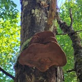 Morrell Nature Sanctuary, British Columbia, Canada - 504 Reviews, Map ...