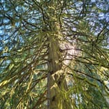 Morrell Nature Sanctuary, British Columbia, Canada - 504 Reviews, Map ...