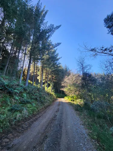 10 Best Trails and Hikes in Hogsback | AllTrails