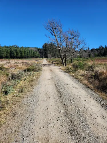 10 Best Trails and Hikes in Hogsback | AllTrails