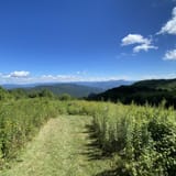 Hemphill Bald via Cataloochee Divide Trail, North Carolina - 427 ...