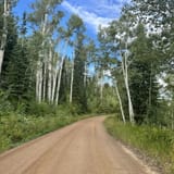 Thunderhead Hiking Trail, Colorado - 812 Reviews, Map | AllTrails