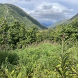 Resurrection Pass Trail, Alaska - 250 Reviews, Map | AllTrails