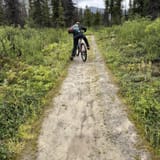 Resurrection Pass Trail, Alaska - 250 Reviews, Map | AllTrails